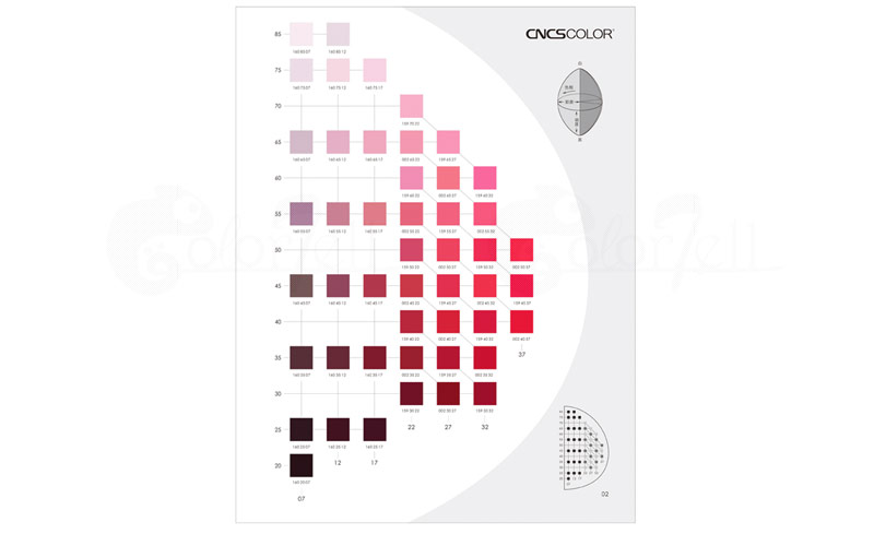 中国纺织色彩体系CNCSCOLOR | 色彩管理网